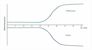 Intercalating Dyes or Fluorescent Probes For RT-qPCR?