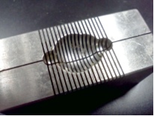 The Perfect Slice: Preparing Tissue Samples For IHC