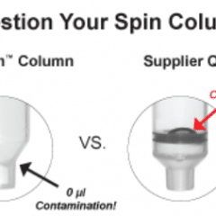 Zymo Research - Bitesize Bio
