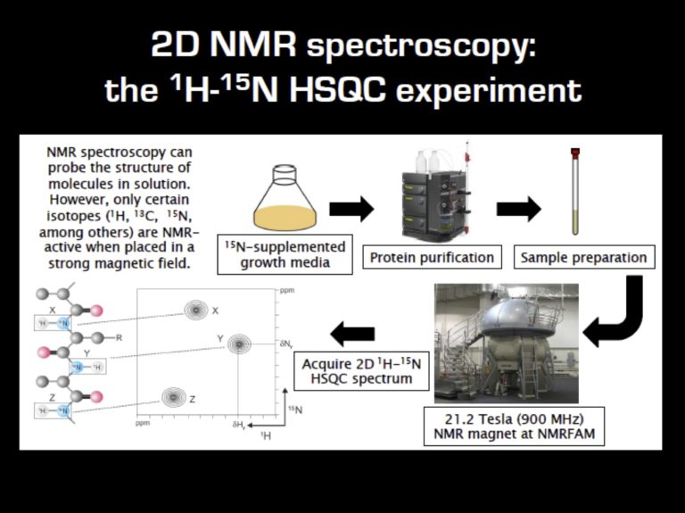 Multidimensional NMR: A Powerful Protein Analysis Tool
