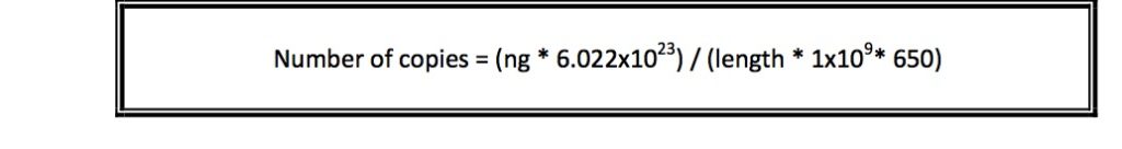 How To Calculate The Number Of Molecules In Any Piece of DNA