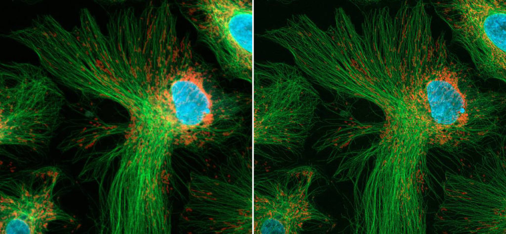 The Point Spread Function: Useful Tips to Improve Your Images