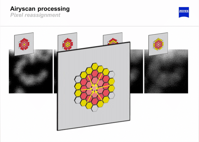 An introduction to Photoactivated Localization Microscopy (PALM ...
