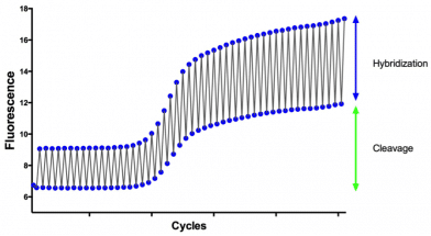 Detecting Signal in qPCR: From DNA Binding Dyes to BHQ Probes