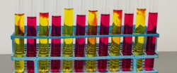 The Five Essentials Of Organizing Laboratory Samples