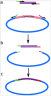 Polymerase Incomplete Primer Extension (PIPE) Cloning Method