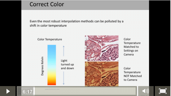 Controlling Color Image Quality in Microscopy - Bitesize Bio