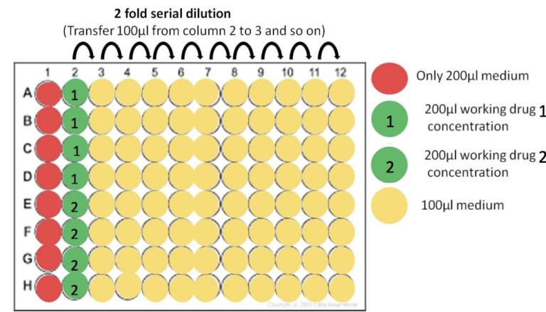 Three Steps for Setting up a Drug Screening Assay