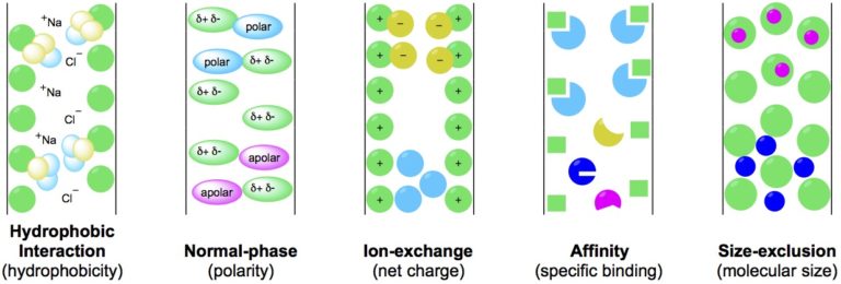 How Chromatography Works Explained with 5 Simple Examples