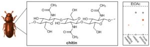 ChemDraw for Biologists & Chemists - Bitesize Bio