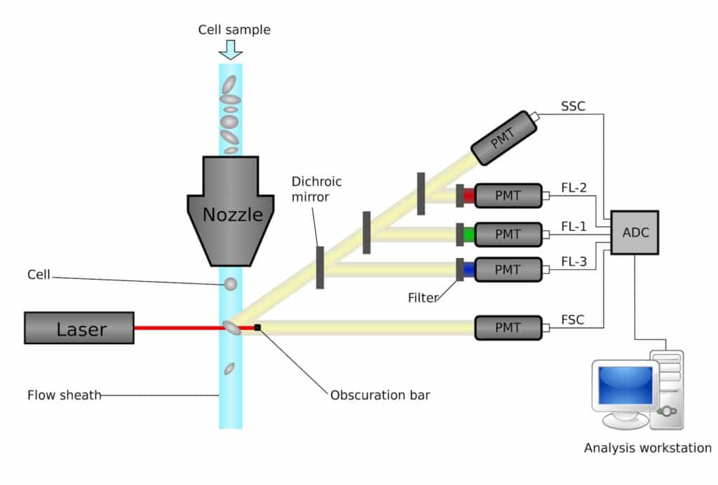 Hydrodynamic Focusing in Flow Cytometry