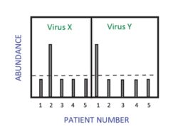 An Introduction to MassTag PCR