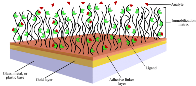 Explained: Sensor Chips for Surface Plasmon Resonance and Other ...