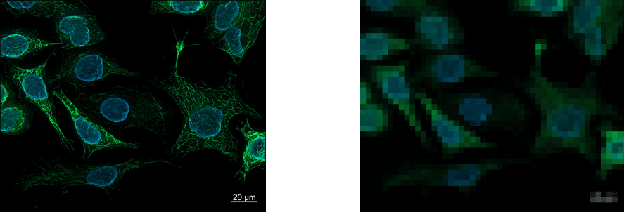 An Introduction to Digital Images in Publications - Bitesize Bio