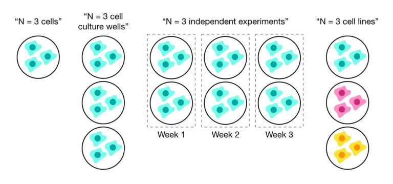 Getting N Numbers Right For Cell-Line Experiments.