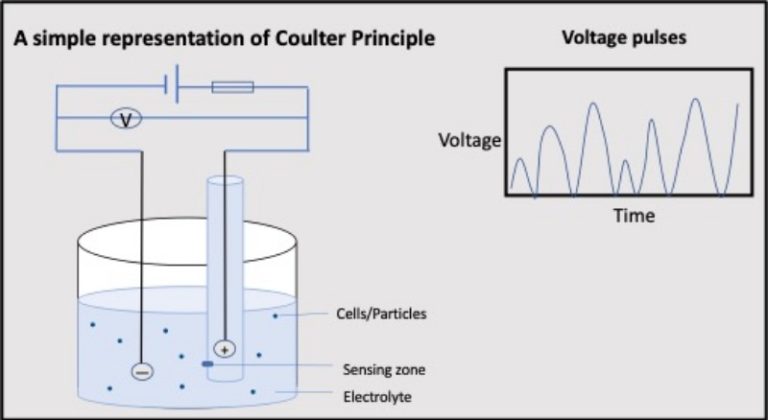 How a Coulter Counter Works: The Science and History