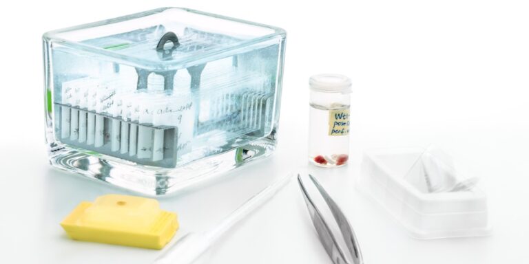 Histology Slide Preparation: 5 Simple Steps