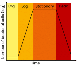 OD600 Measurements: An Easy Guide for Researchers Using Bacterial Cultures