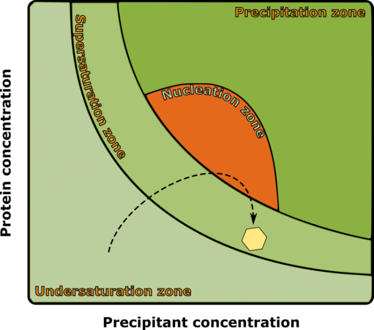 5 Protein Crystallization Seeding Methods for Bigger Crystals
