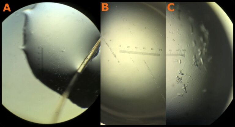 5 Protein Crystallization Seeding Methods for Bigger Crystals