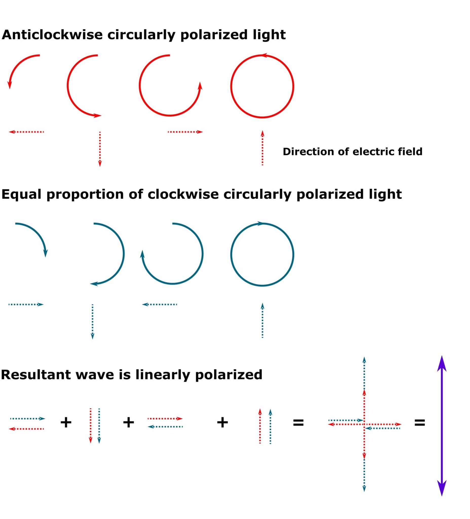 The Principle of Circular Dichroism: Helping Your Protein Research