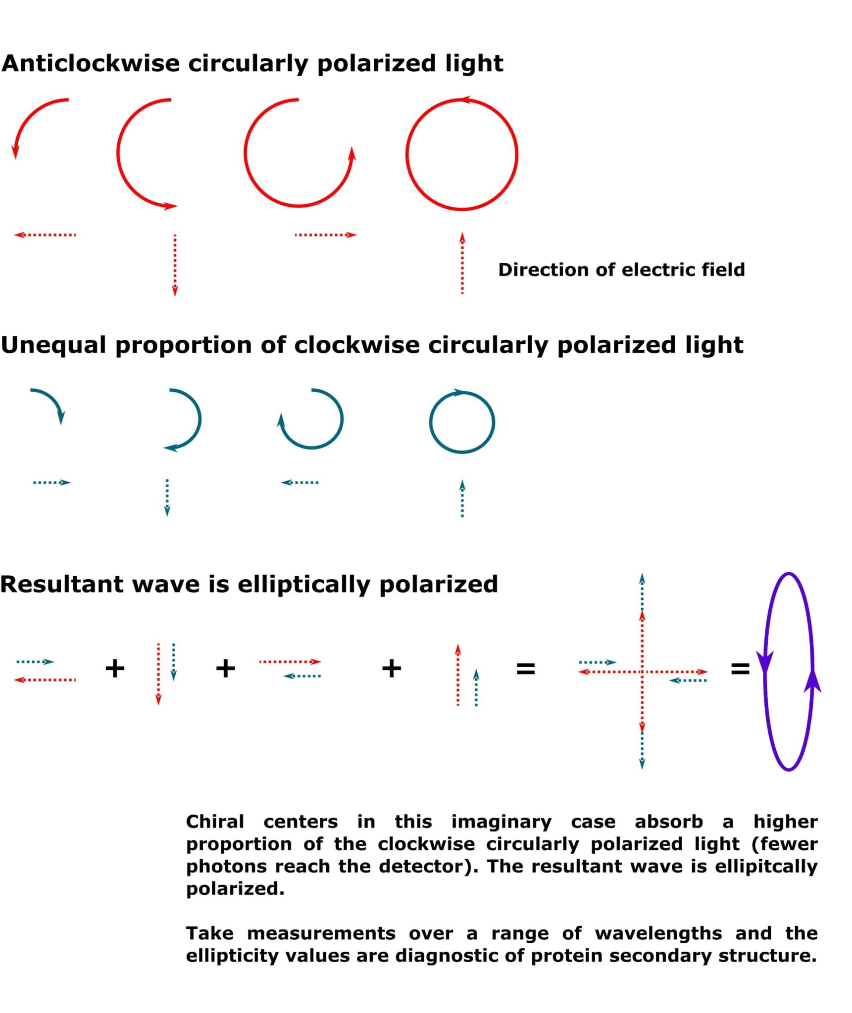 The Principle of Circular Dichroism: Helping Your Protein Research
