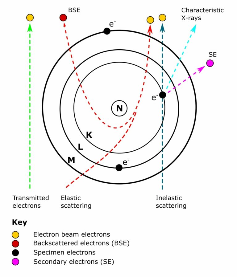 The 2 Main Electron Microscopy Techniques Explained