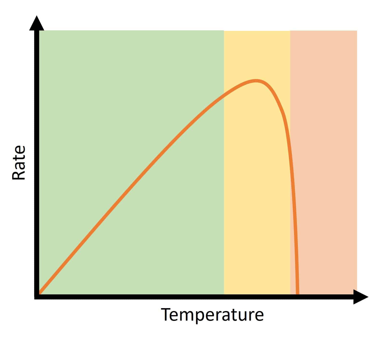 The Optimum Temperature For Enzymes An Simple Clarification The Optimum Temperature For Enzymes An Simple Clarification