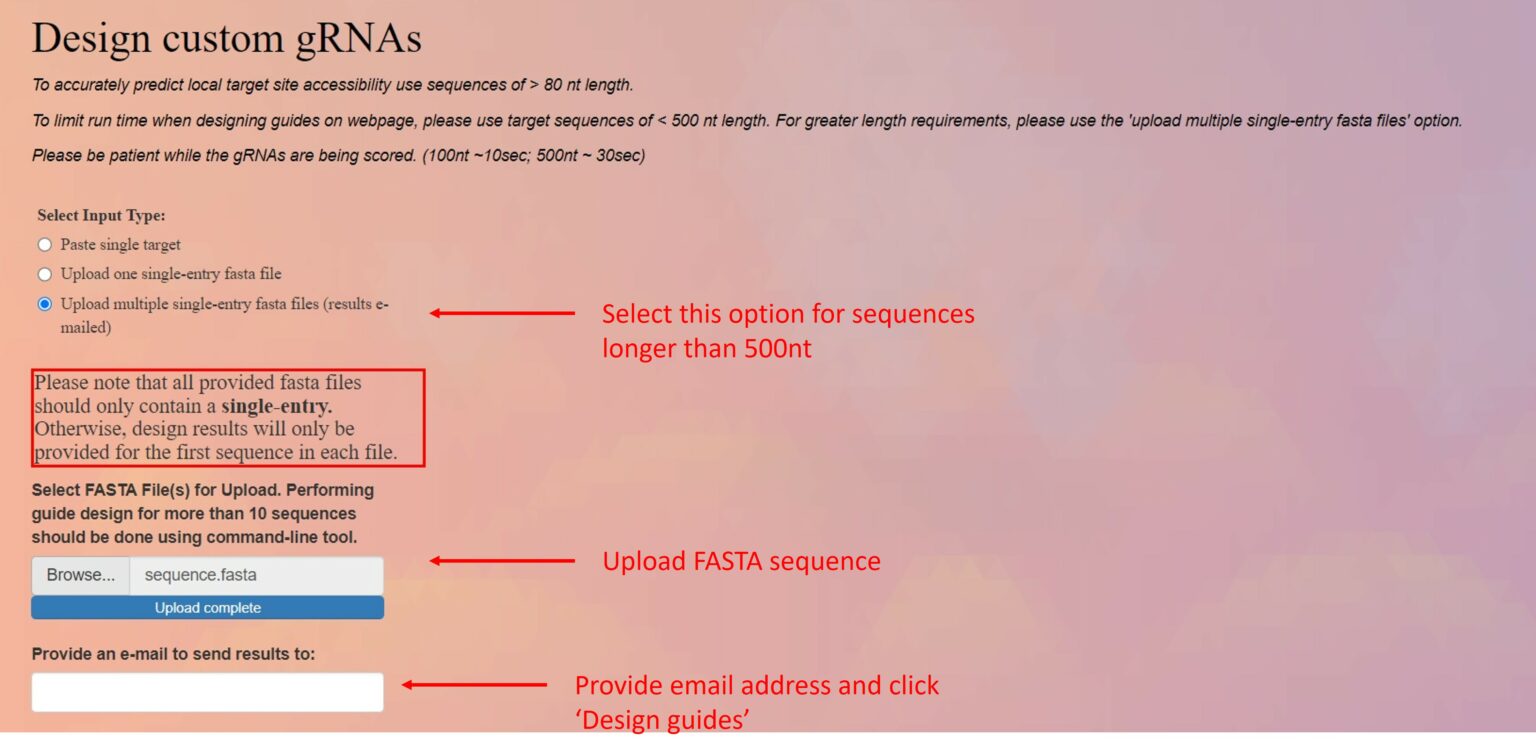 An easy step-by-step guide to designing Cas13 gRNAs
