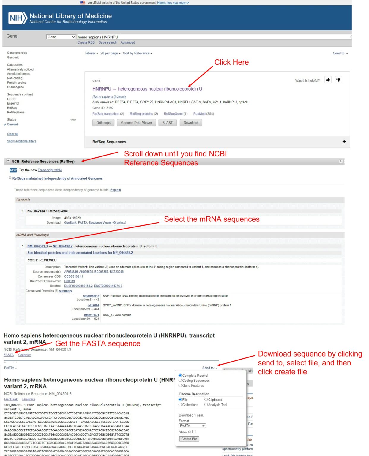 An easy step-by-step guide to designing Cas13 gRNAs