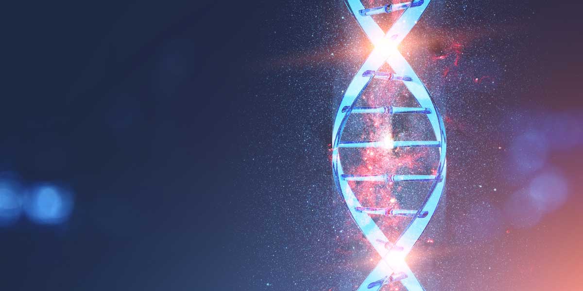 V D J Sequencing A Simple Guide To Available Approaches V D J Sequencing A Simple Guide To Available Approaches