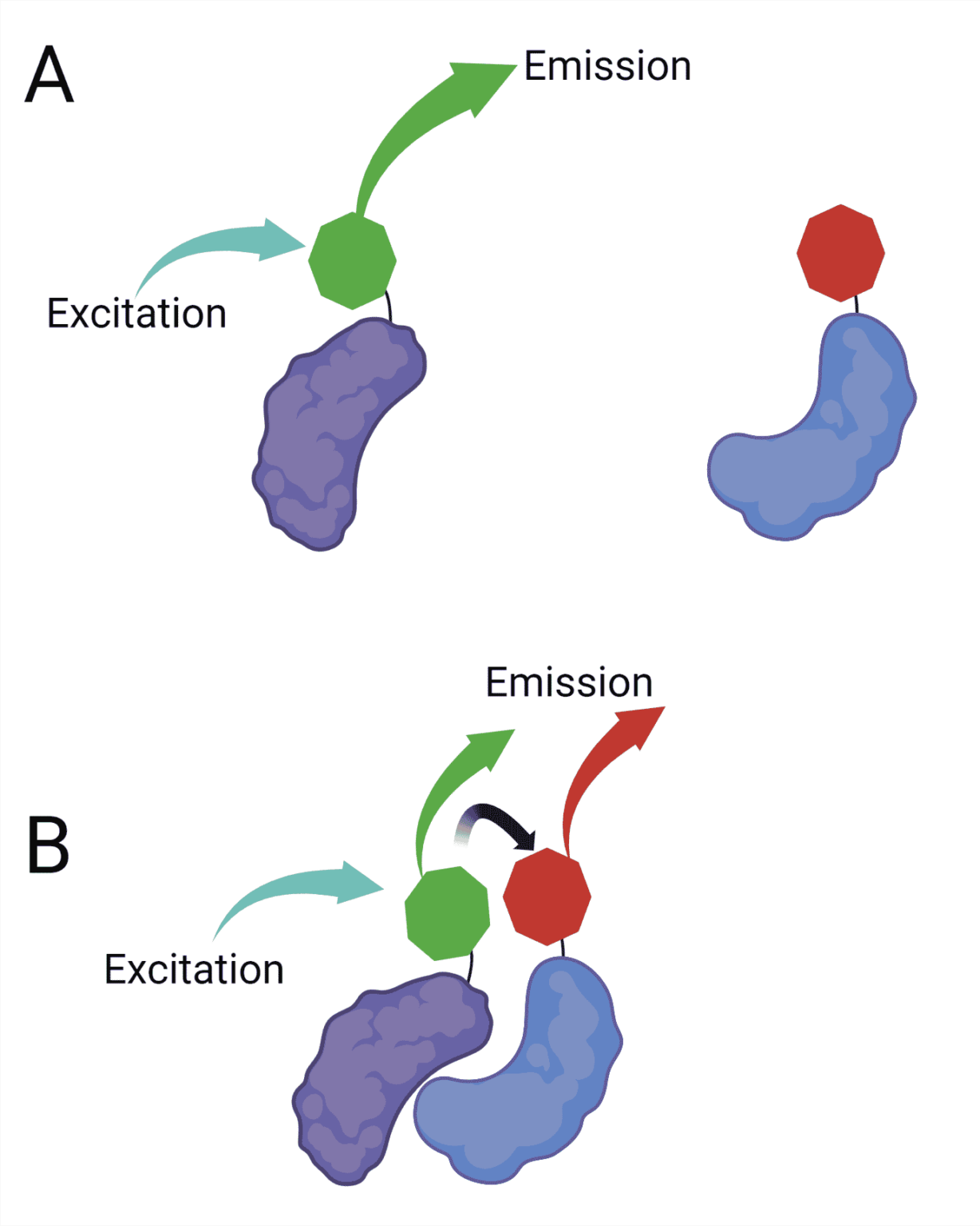 How FRET Works: A Short and Simple Guide