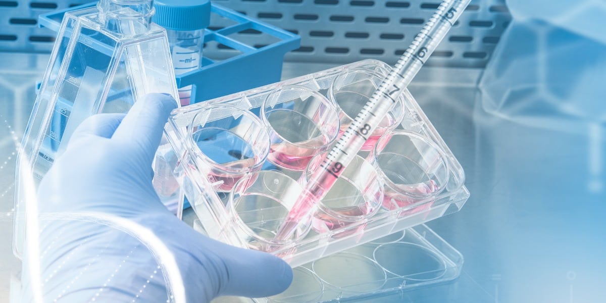 Cell Culture Posters