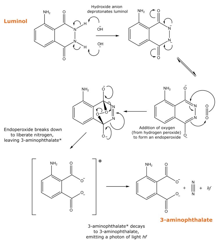 How To Make ECL Reagent: 4 Ingredients, Better Blots