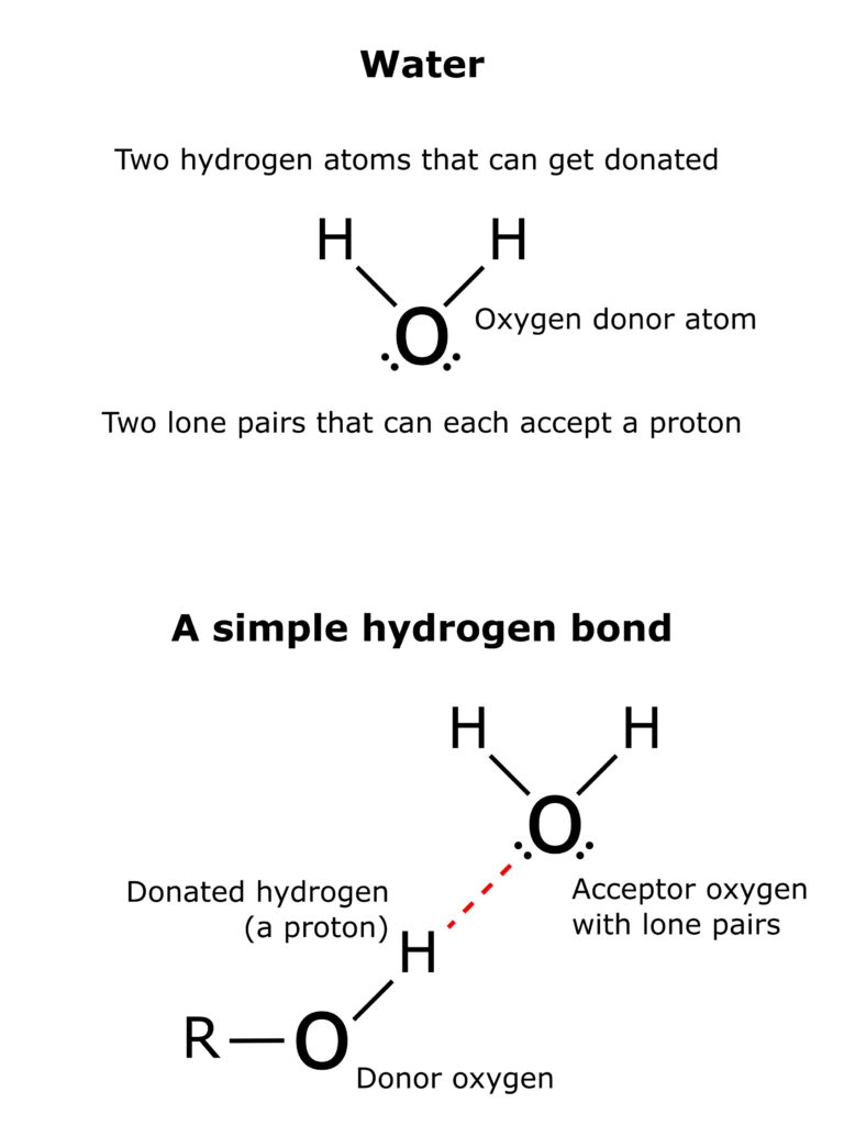 Hydrogen bonds: A Simple Explanation of Why They Form