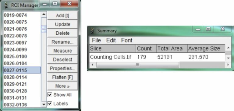 Quick and Easy Automatic Cell Counting in 4 Steps