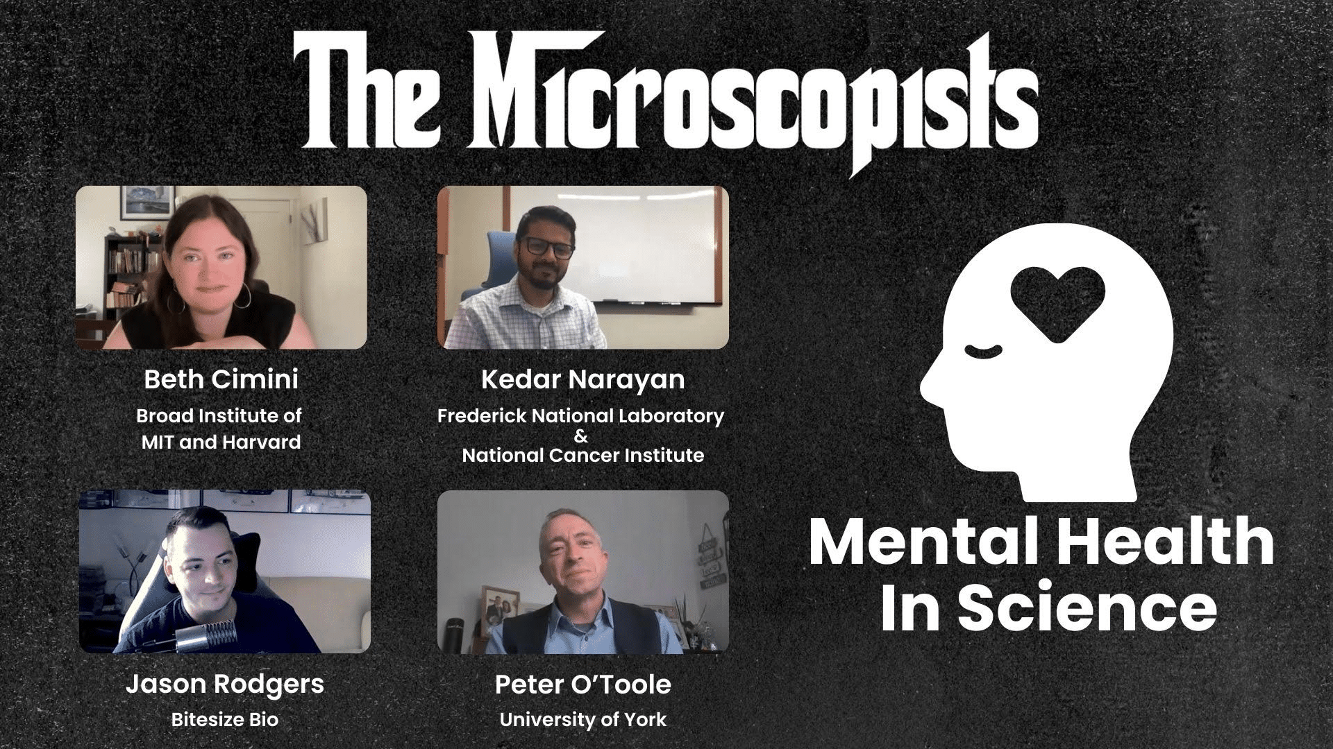 Bitesize Bio podcast tackles mental health stigma in the scientific ...