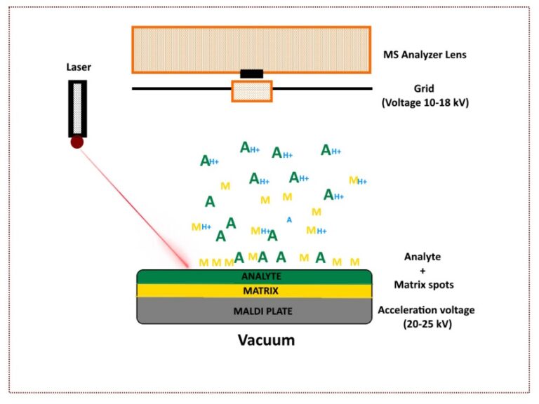 Ionization Methods in Mass Spec: Making Molecules Fly