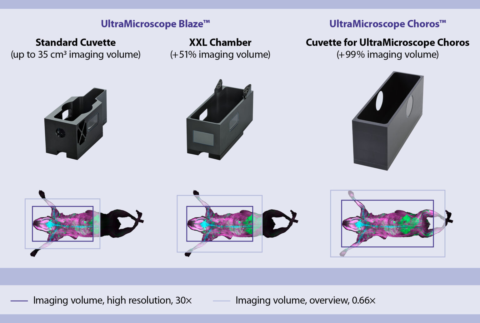 Image Larger Volumes with the UltraMicroscope Choros™ - Bitesize Bio