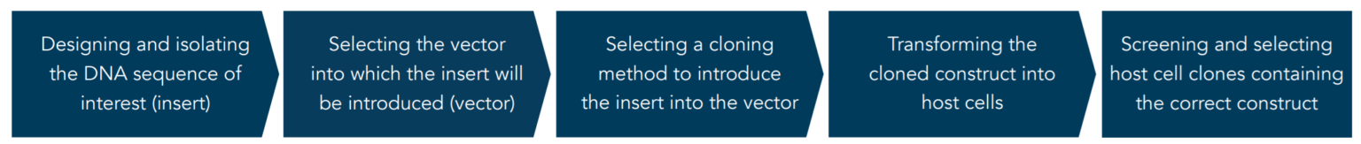 A Crash Course in DNA Cloning